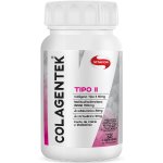 ColaGen tek Tipo II 60 Caps - Vitafor | App Pharma